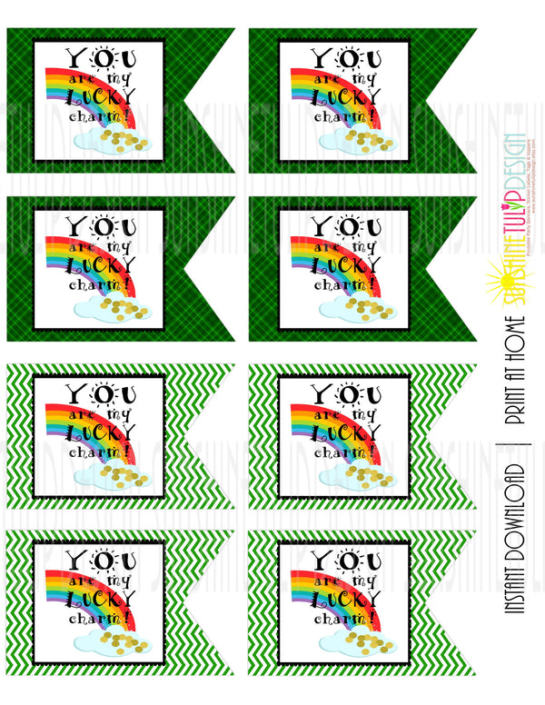 Printable You are my Lucky Charm Gift Tags, St Patrick's Day Gift Tags ...