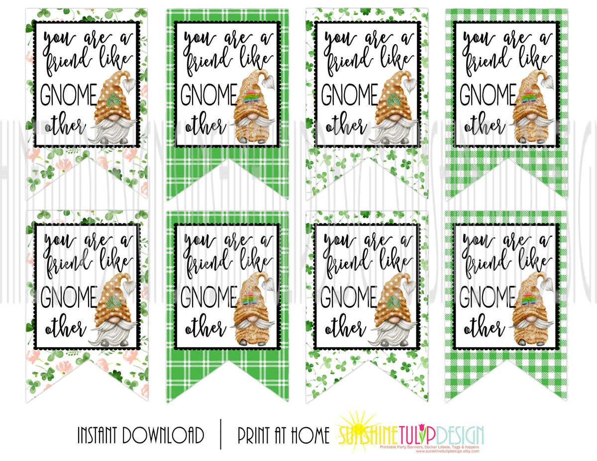 Printable St Patrick's Day Gift Tags, A Friend Like Gnome Other Tags ...