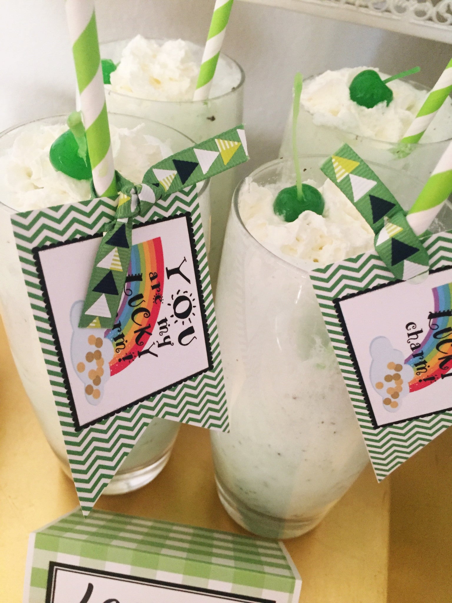 Printable You are my Lucky Charm Gift Tags, St Patrick's Day Gift Tags ...