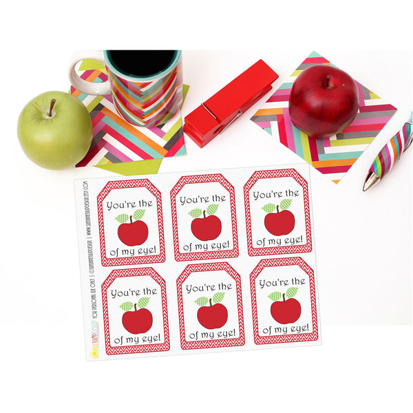 Printable Teacher Appreciation Gift Tags You're the Apple of my Eye by ...