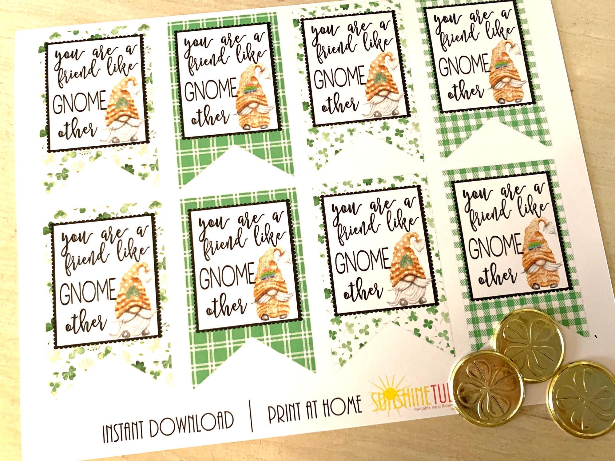 Printable St Patrick's Day Gift Tags, A Friend Like Gnome Other Tags ...
