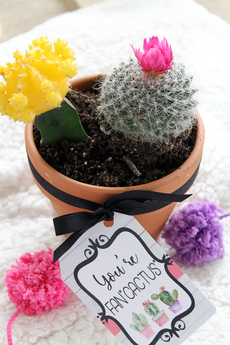 Printable Cactus Gift Tags, Printable Teacher Appreciation Gift Tags ...